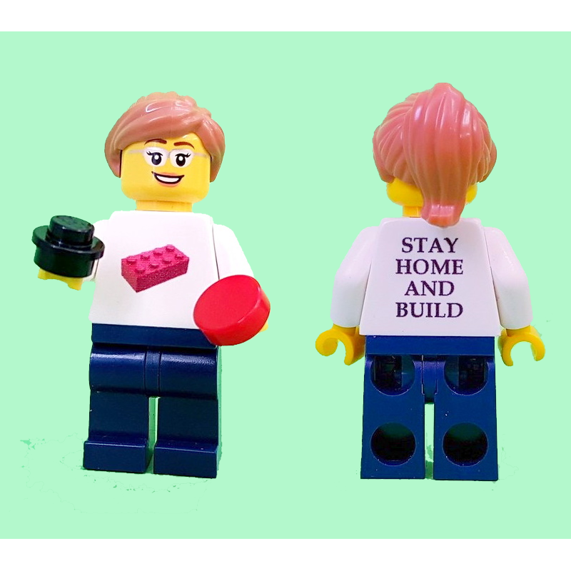 Stay Home and Build - Thebigbrick